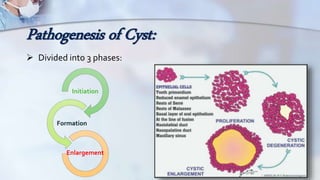 Introduction to oral and maxillofacial cyst | PPTX