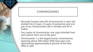 INTRODUCTION TO CYTOGENETICS, chromosome.pptx