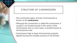INTRODUCTION TO CYTOGENETICS, chromosome.pptx