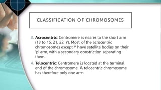 INTRODUCTION TO CYTOGENETICS, chromosome.pptx
