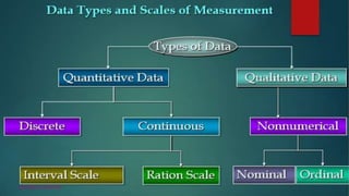 Introduction to Data (1).pptx
