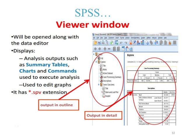 Introduction to database Chapters-6.pptx
