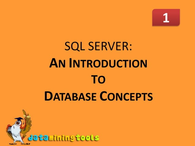 MS Sql Server: Introduction To Database Concepts