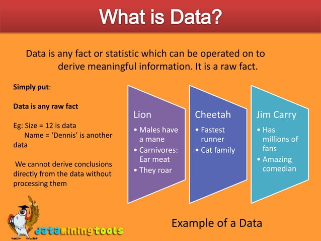 Ms Sql Server Introduction To Database Concepts Pptx Databases
