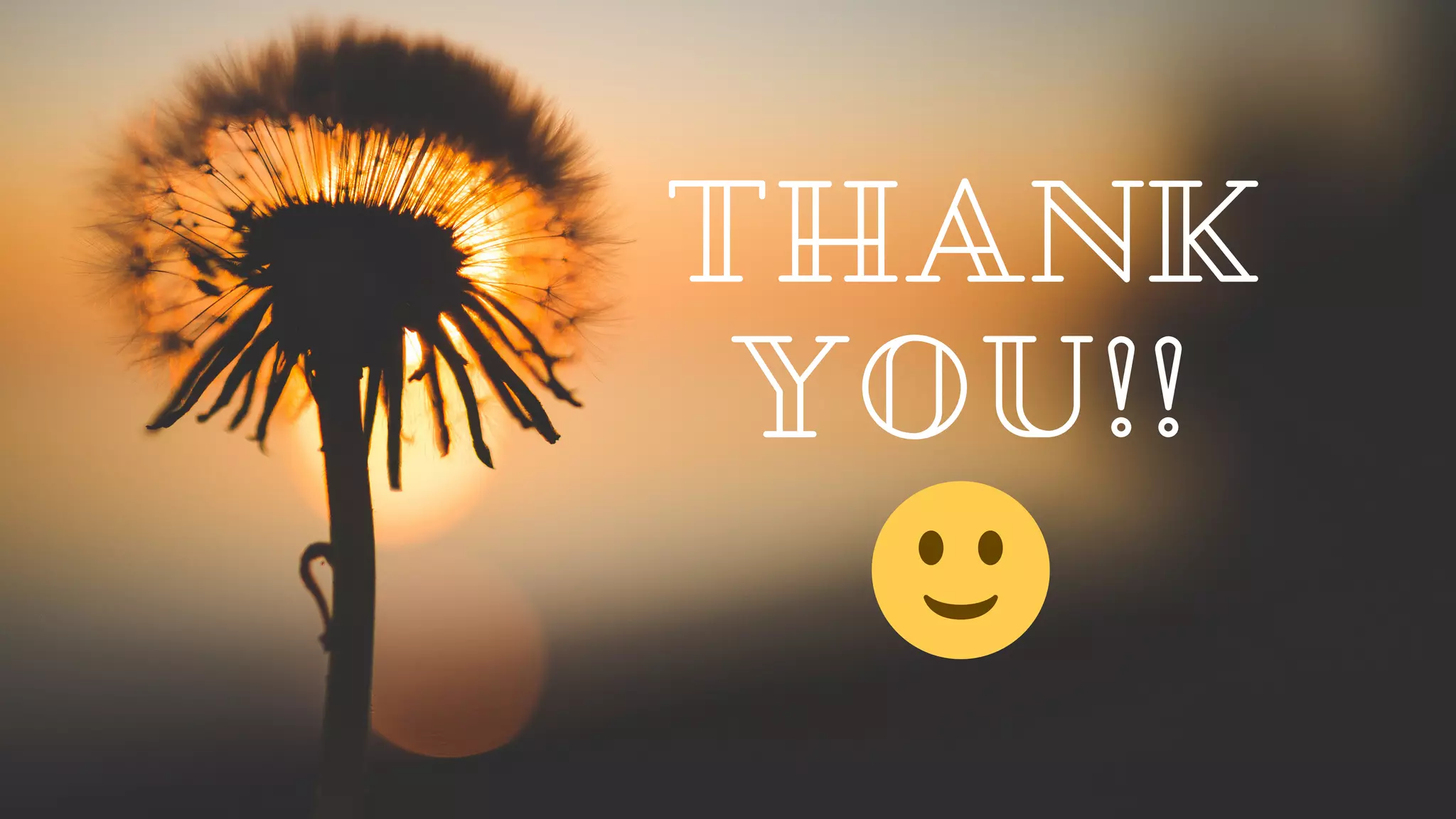 Introduction to database development | PPT