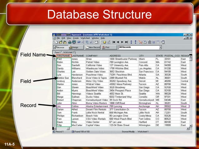 Introduction to Database Managemant System.ppt