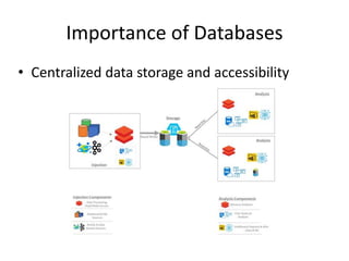 Introduction to Database Management.pptx