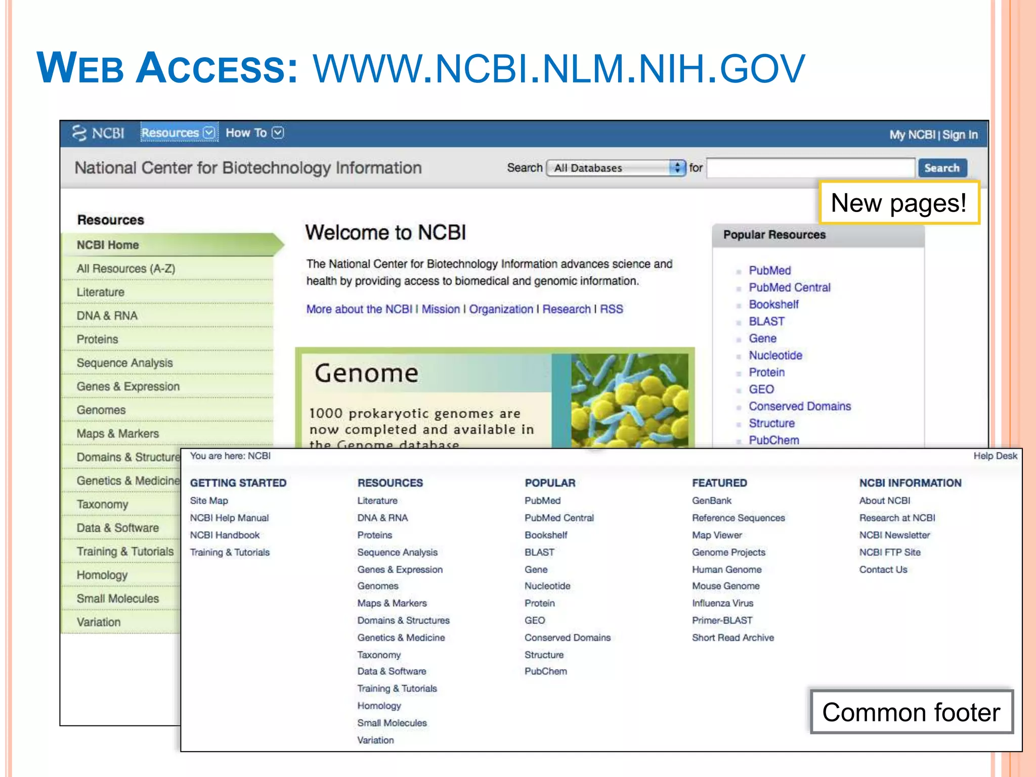 Introduction to Biological databases | PPT