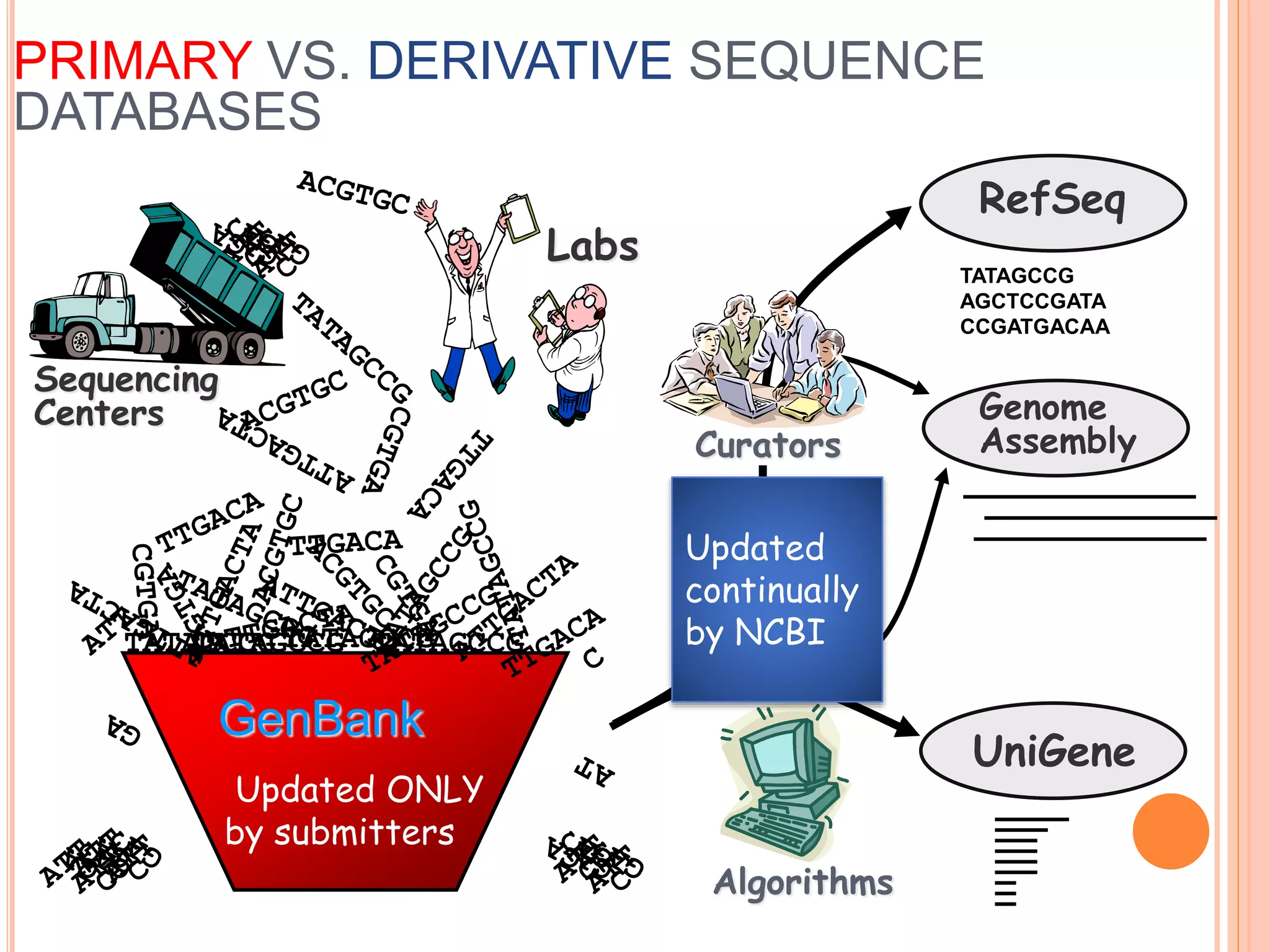 Introduction to Biological databases | PPT
