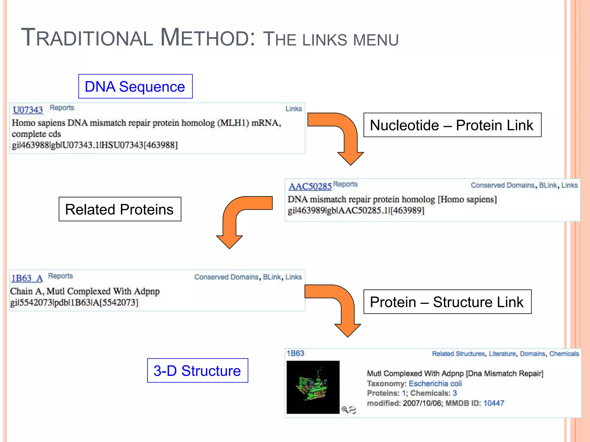 Introduction to Biological databases | PPT
