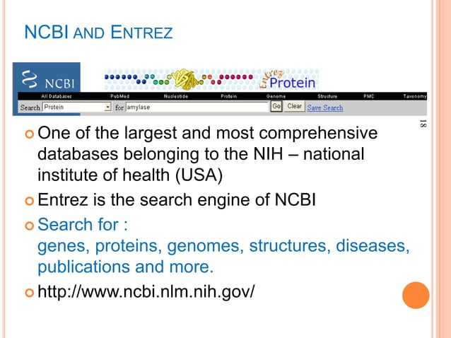 Introduction to Biological databases | PPT