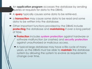 Introduction to Database Management System.pptx | Databases | Computer Software and Applications
