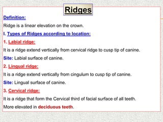 Introduction to dental anatomy | PPTX