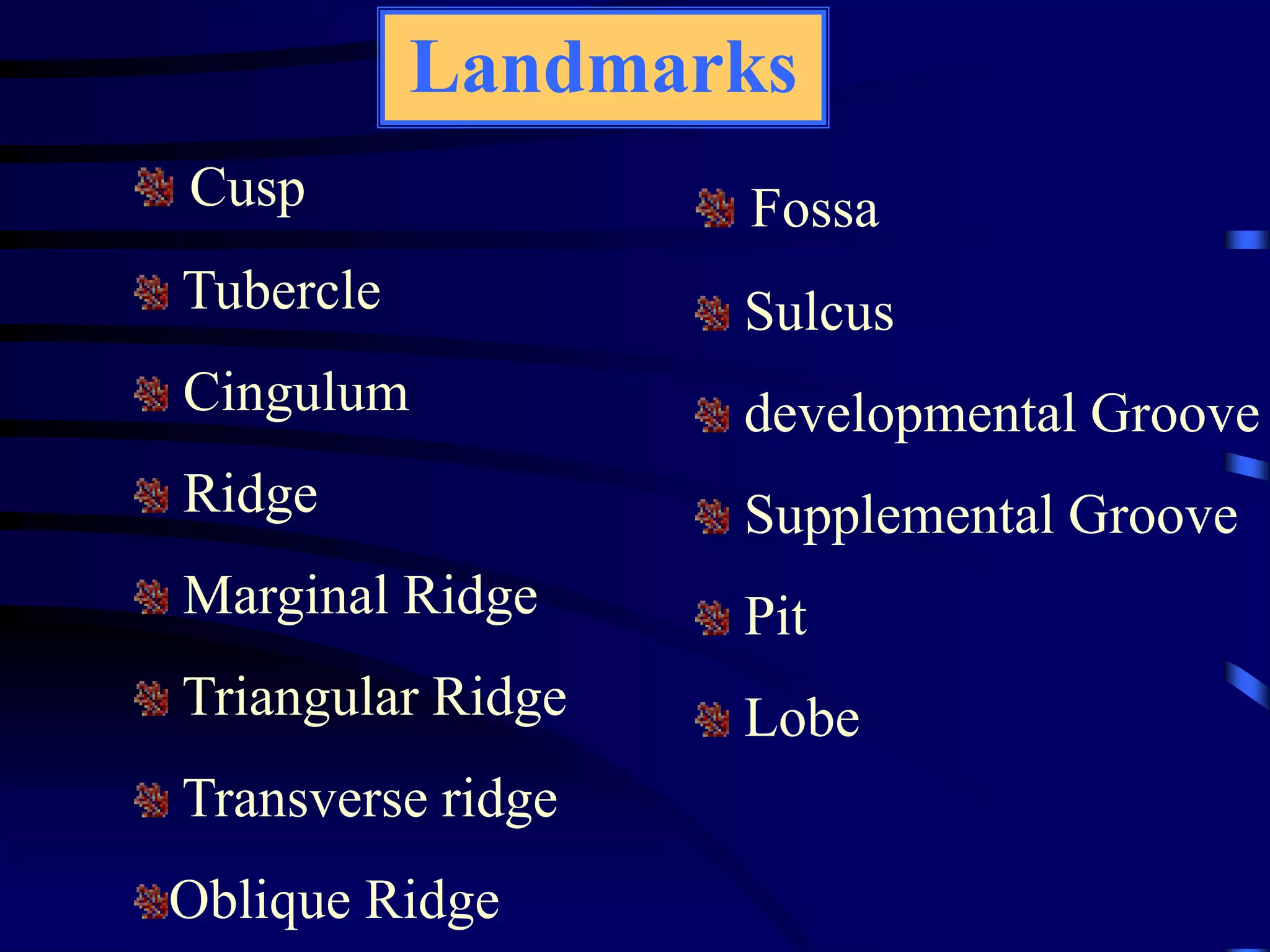 Introduction to Dental Anatomy.ppt