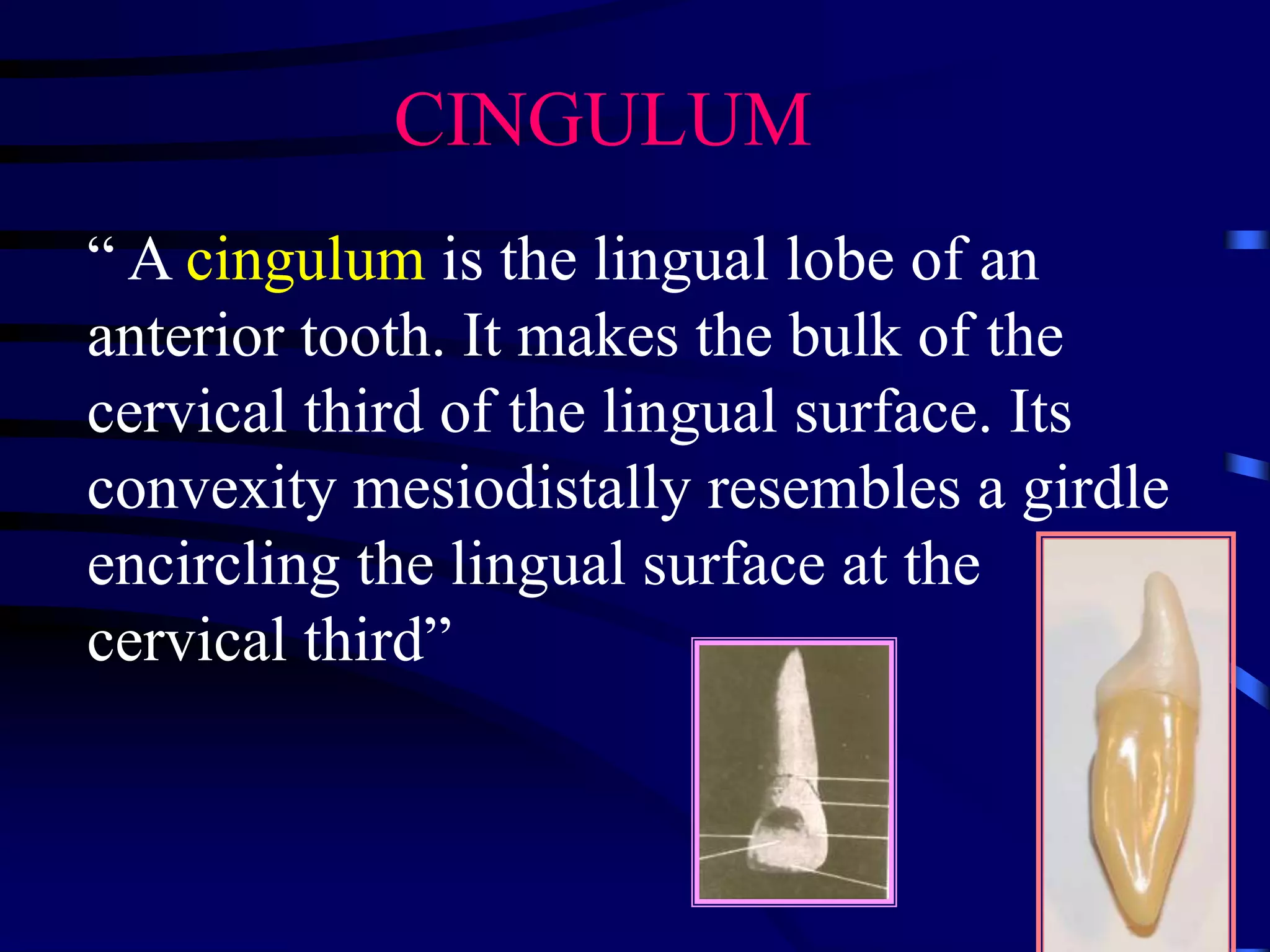 Introduction to Dental Anatomy.ppt