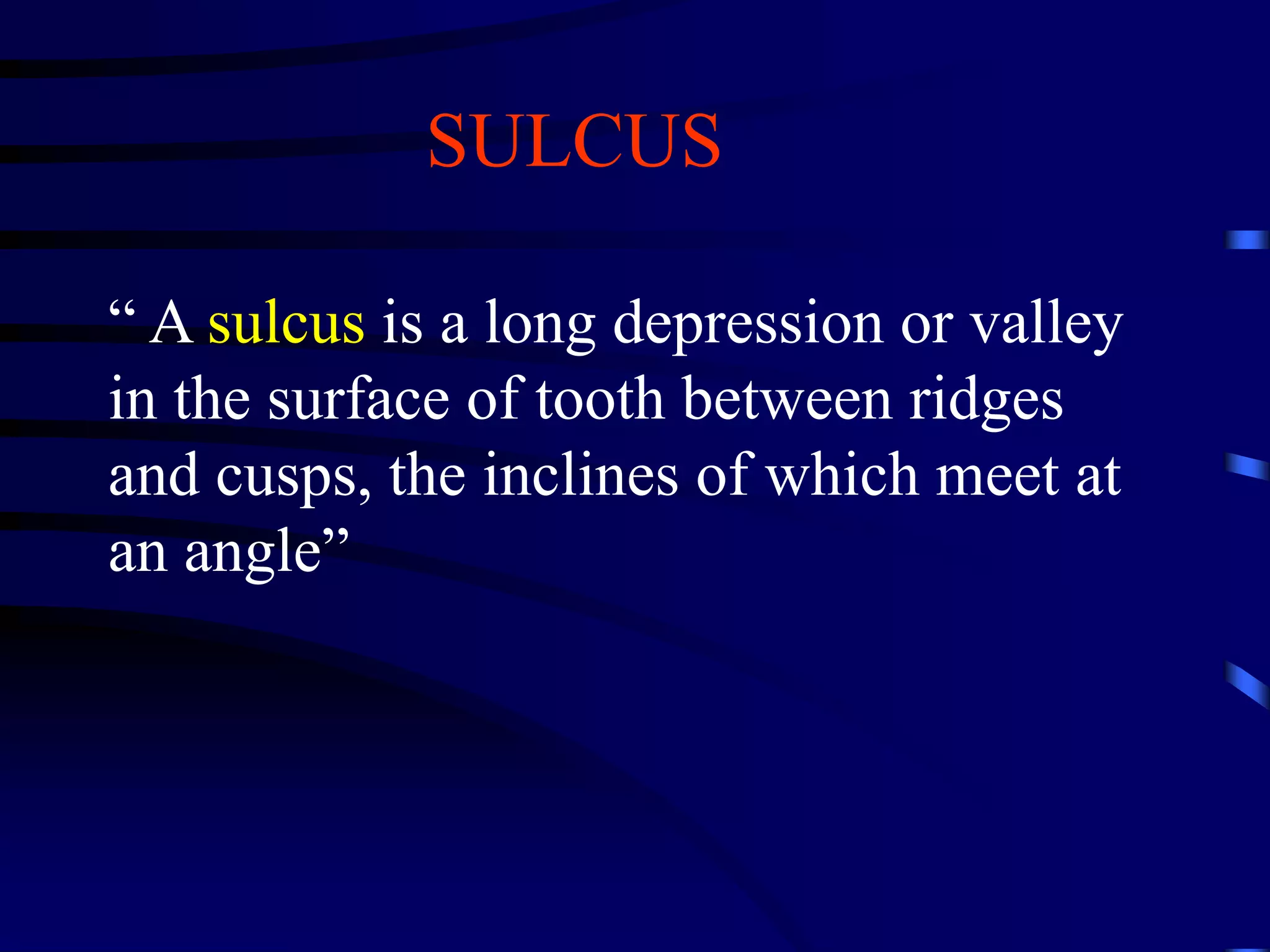 Introduction to Dental Anatomy.ppt