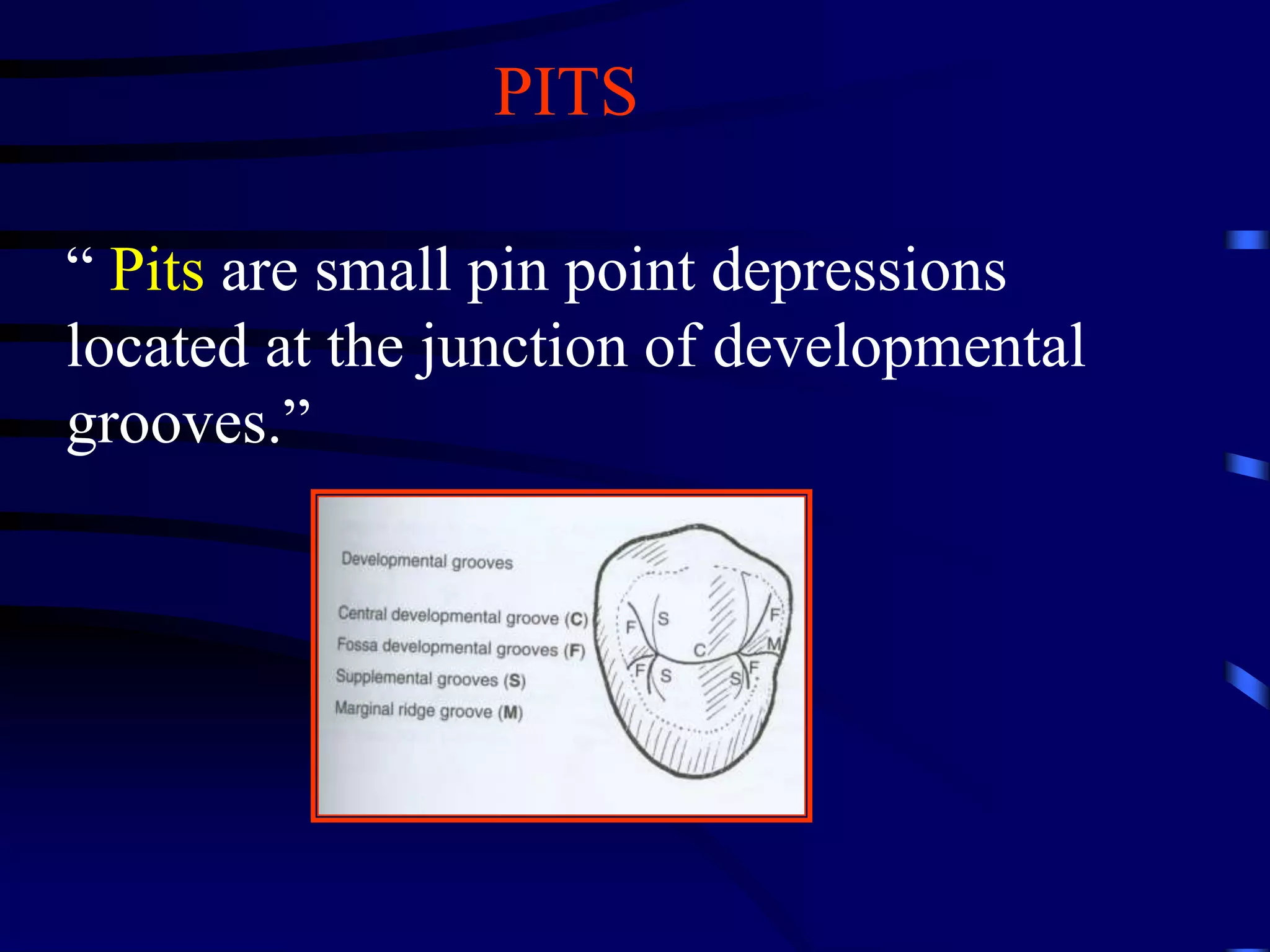 Introduction to Dental Anatomy.ppt