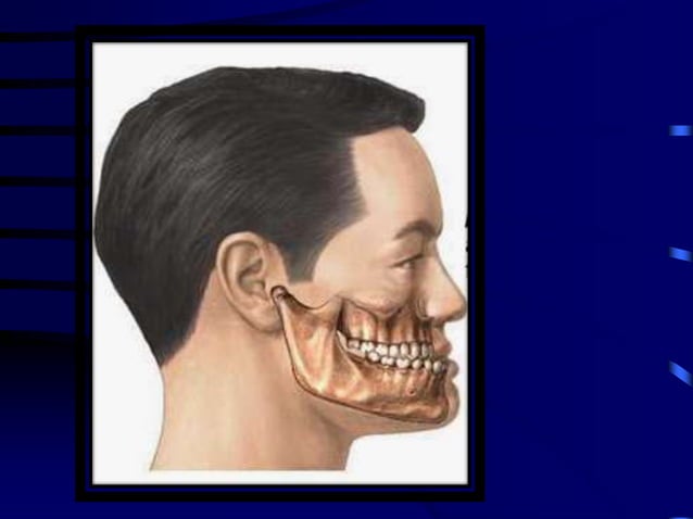 Introduction to Dental Anatomy.ppt