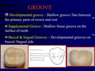 Introduction to Dental Anatomy.ppt