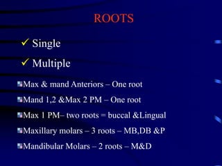 Introduction to Dental Anatomy.ppt