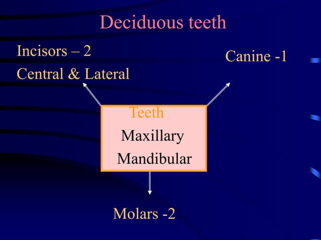 Introduction to Dental Anatomy.ppt