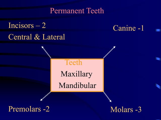 Introduction to Dental Anatomy.ppt