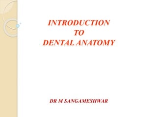 INTRODUCTION TO DENTAL ANATOMY.pptx | Dental Health | Diseases and ...