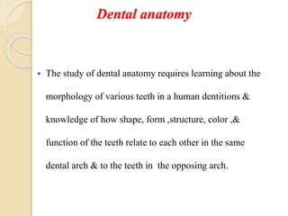 INTRODUCTION TO DENTAL ANATOMY.pptx | Dental Health | Diseases and ...
