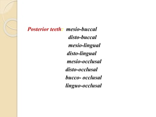 INTRODUCTION TO DENTAL ANATOMY.pptx | Dental Health | Diseases and ...