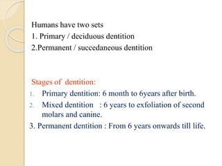 INTRODUCTION TO DENTAL ANATOMY.pptx