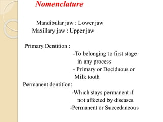 INTRODUCTION TO DENTAL ANATOMY.pptx | Dental Health | Diseases and ...