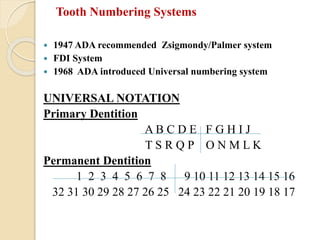INTRODUCTION TO DENTAL ANATOMY.pptx | Dental Health | Diseases and ...
