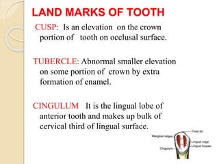 INTRODUCTION TO DENTAL ANATOMY.pptx