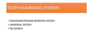 Introduction to Dental Anatomy and Tooth numbering system | PPTX