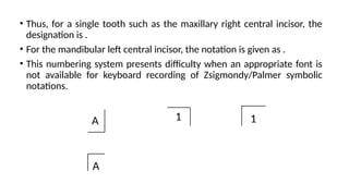 Introduction to Dental Anatomy and Tooth numbering system | PPTX