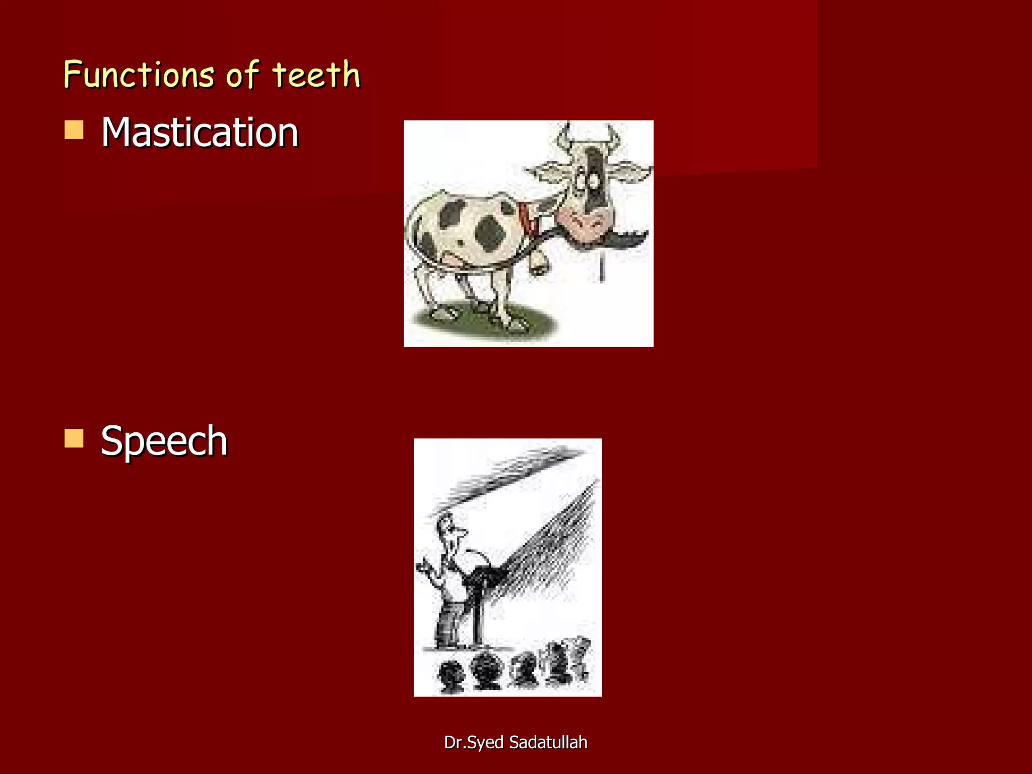 Introduction to dental morphology | PPT