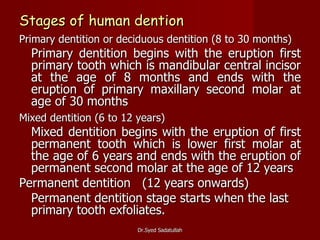 Introduction to dental morphology | PPT
