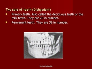 Introduction to dental morphology | PPT | Dental Health | Diseases and ...