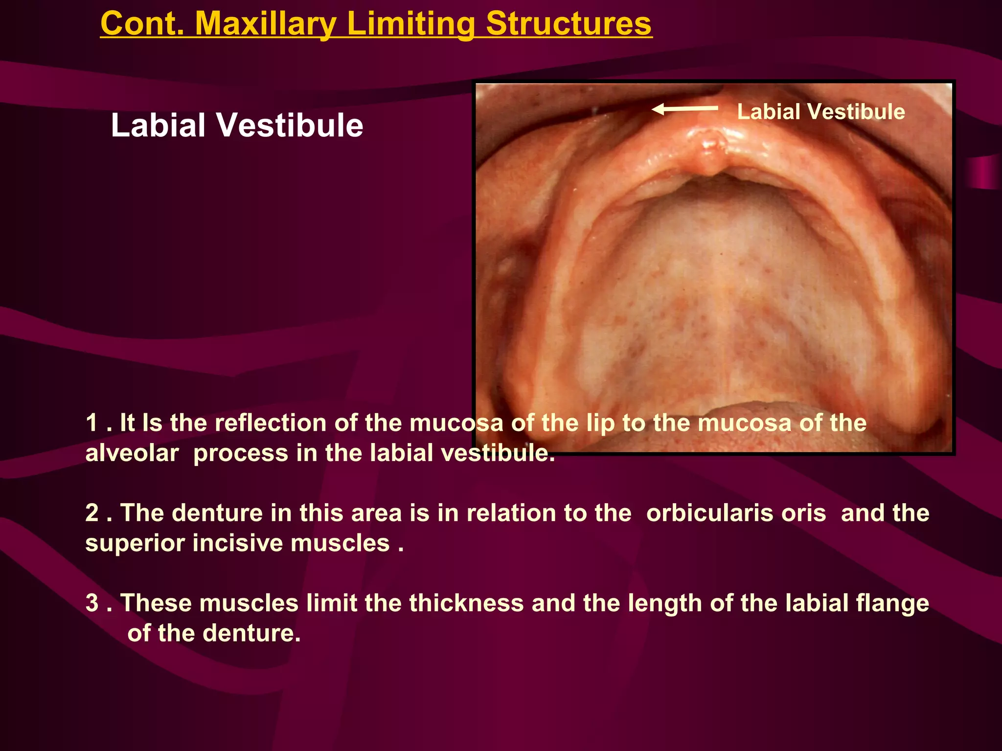 Introduction to prosthodontics | PPT