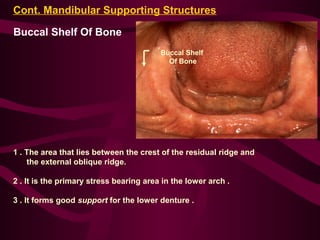 Introduction to prosthodontics | PPT