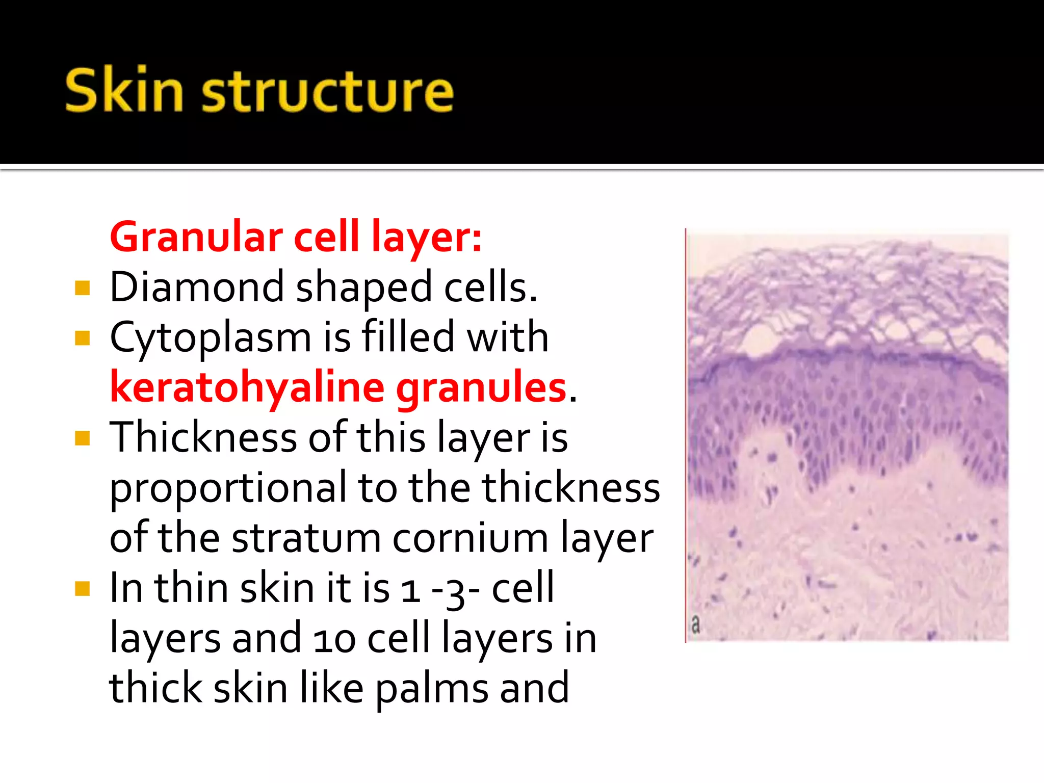 Introduction to dermatovenerology.pptx