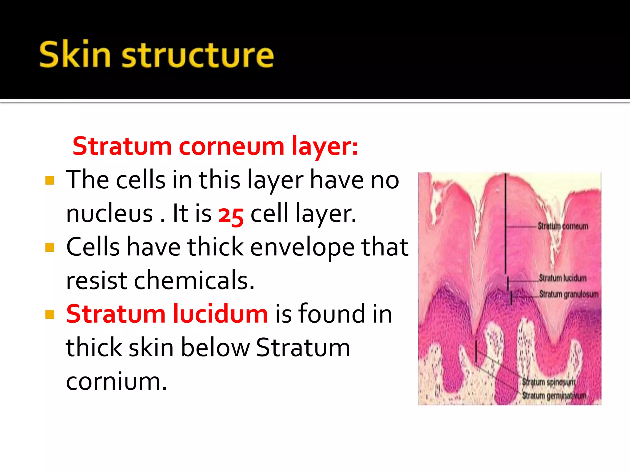 Introduction to dermatovenerology.pptx