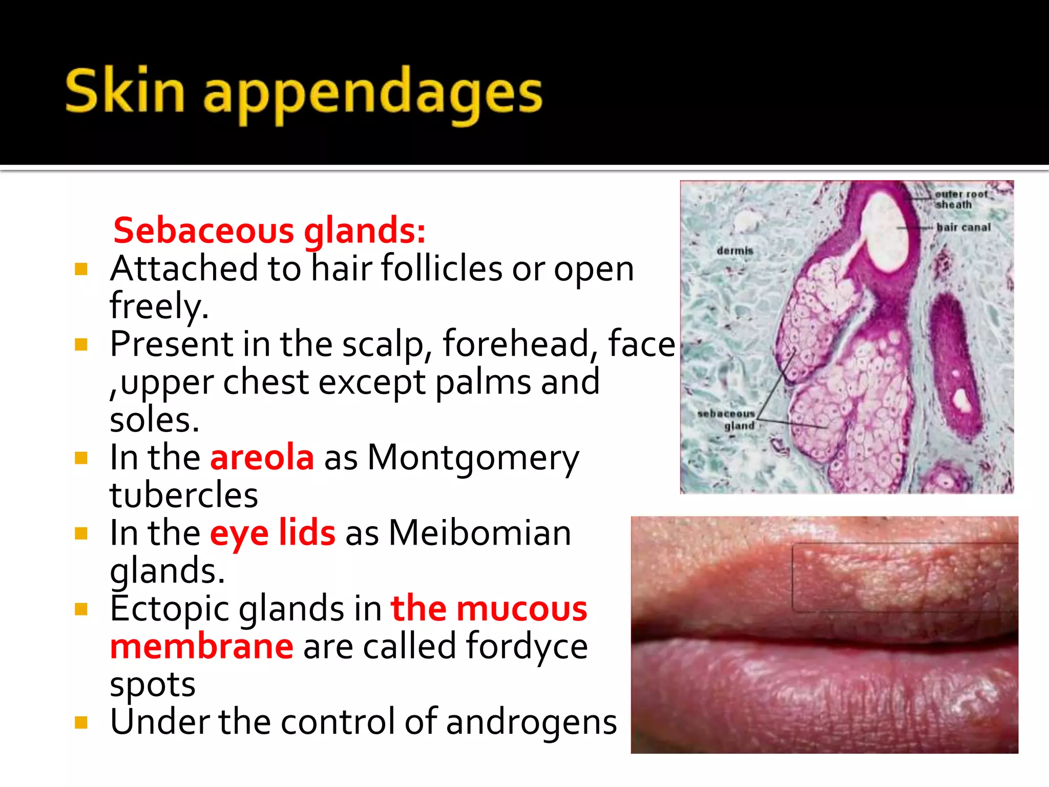 Introduction to dermatovenerology.pptx