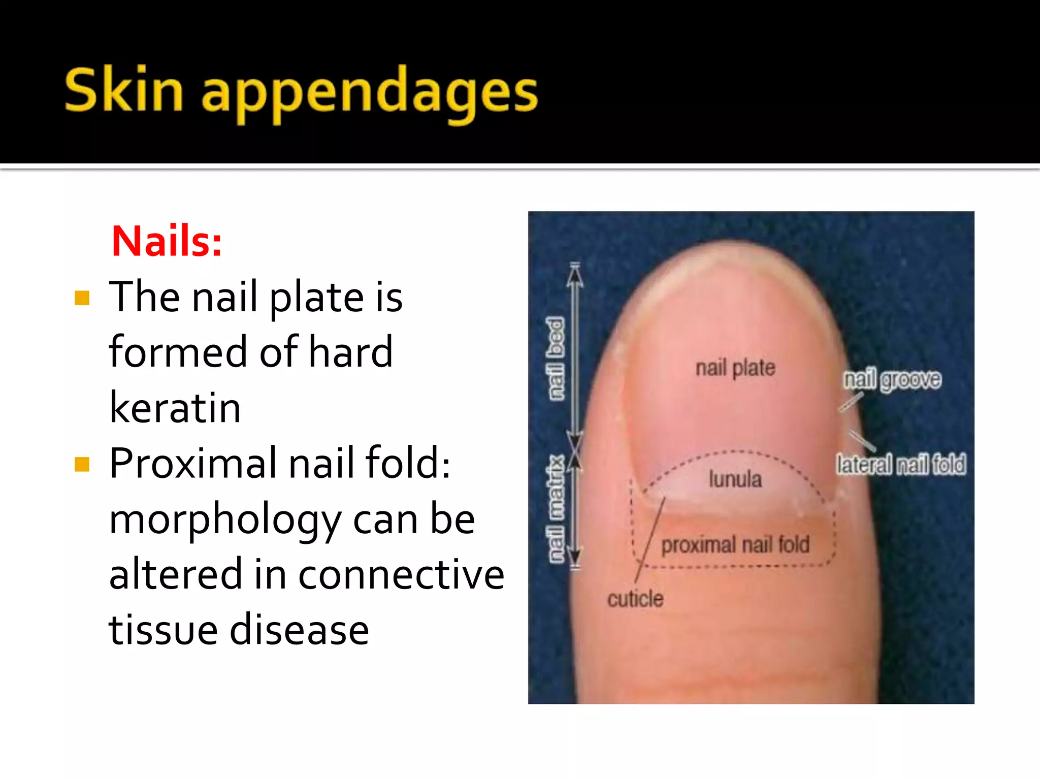 Introduction to dermatovenerology.pptx