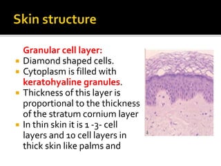 Introduction to dermatovenerology.pptx