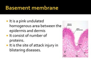Introduction to dermatovenerology.pptx