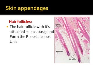 Introduction to dermatovenerology.pptx