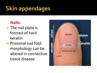 Introduction to dermatovenerology.pptx