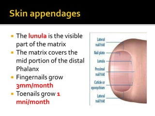 Introduction to dermatovenerology.pptx