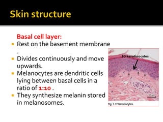 Introduction to dermatovenerology.pptx